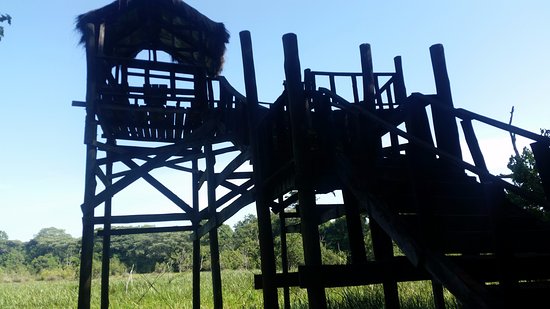 Tree Top Hut - Mbugani Homes
