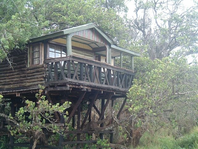 Tree Top Hut - Mbugani Homes